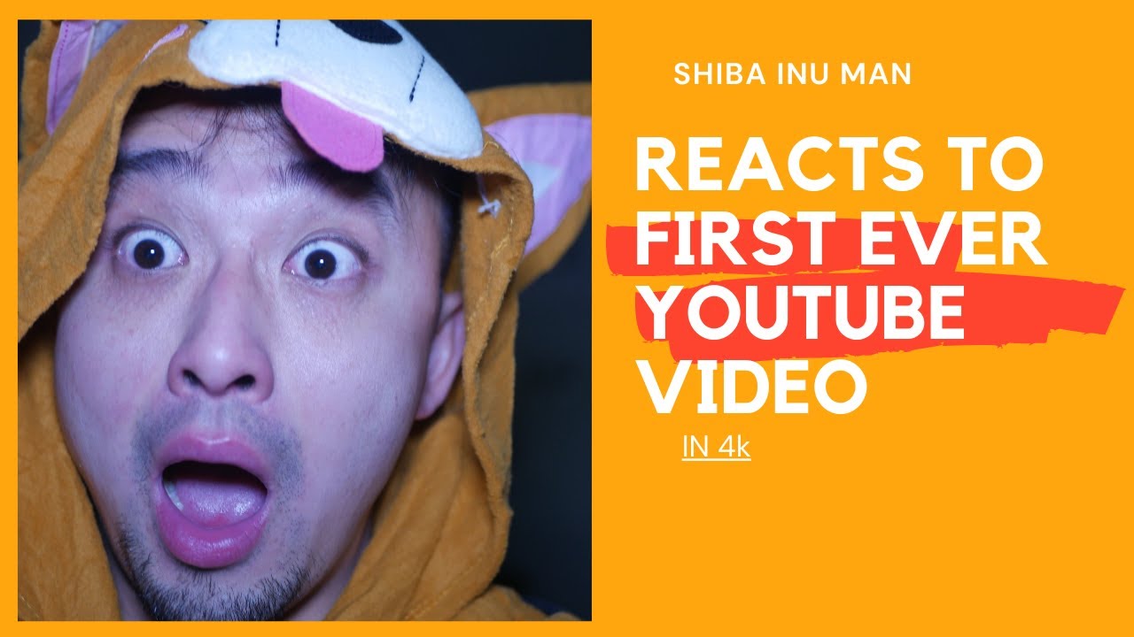 SHIBA MAN REACTS TO FIRST EVER YOUTUBE VIDEO IN 4k - YouTube