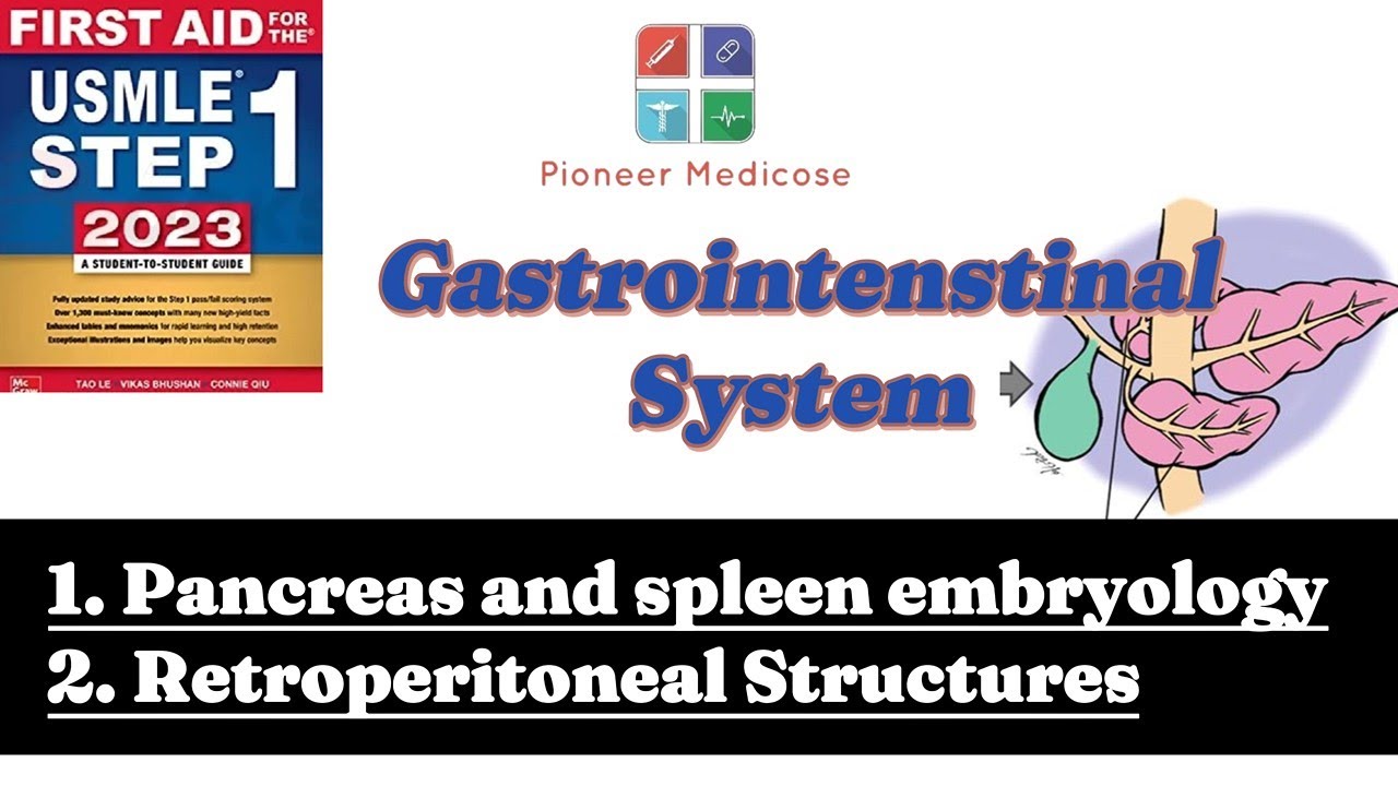 Pancrease Spleen Embryology Retroperitoneal From First Aid Step 1 6448