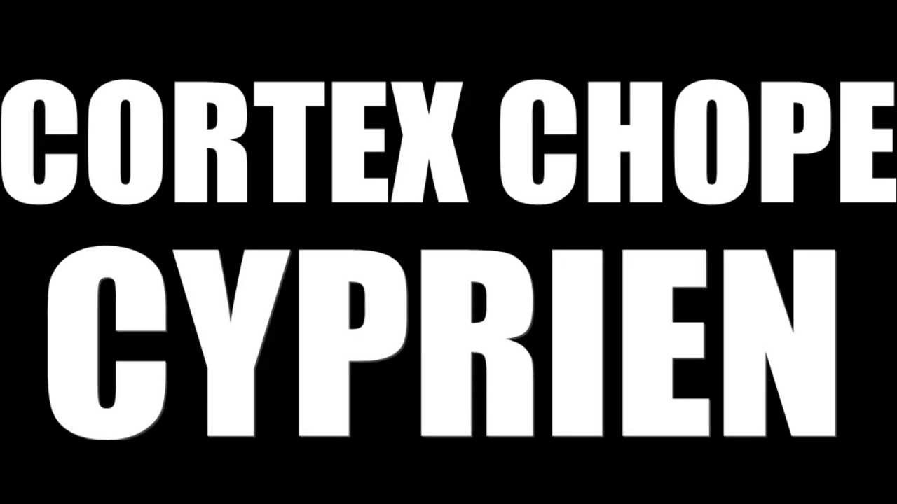 CORTEX CLASH CYPRIEN A LA PARIS GAMES WEEK 2013 - YouTube