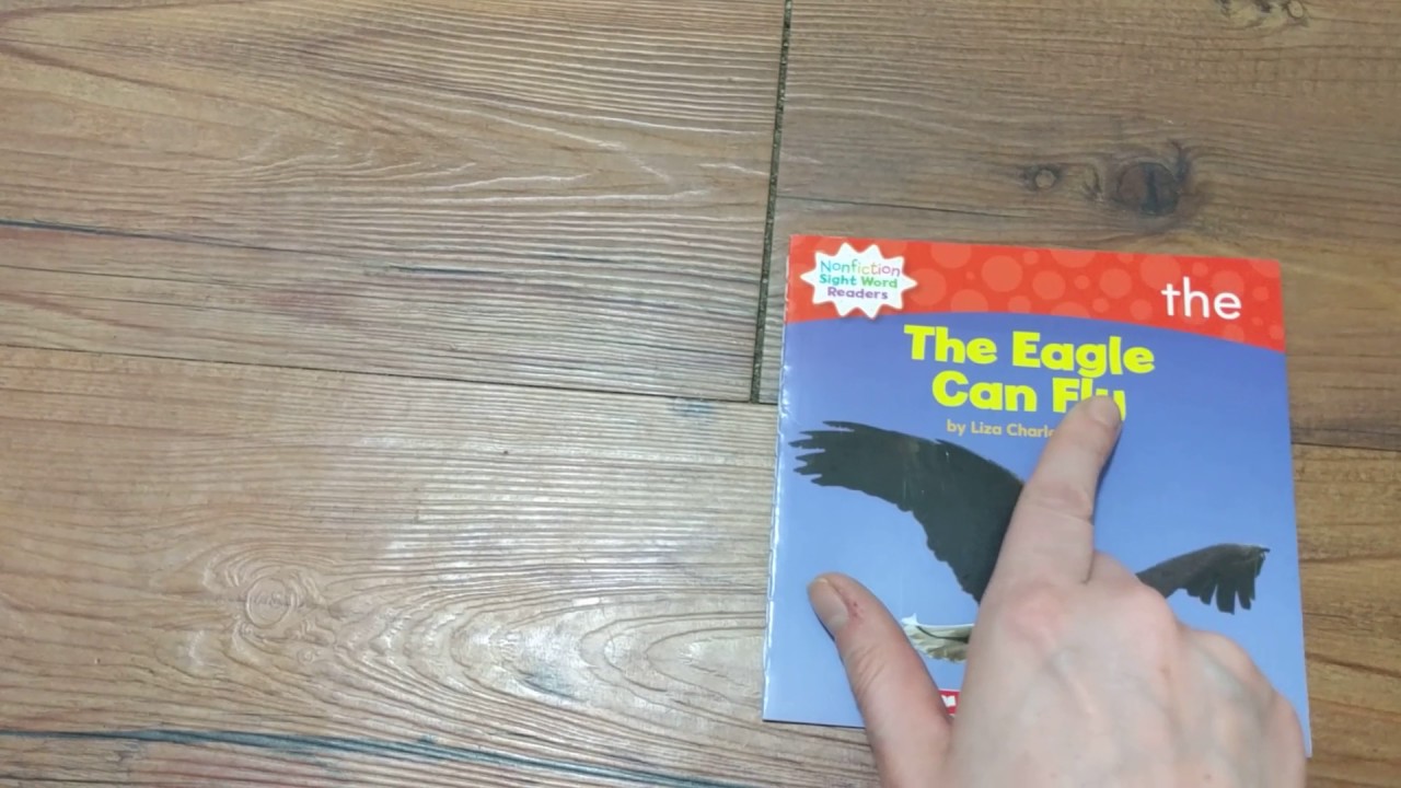 the - The Eagle Can Fly - YouTube