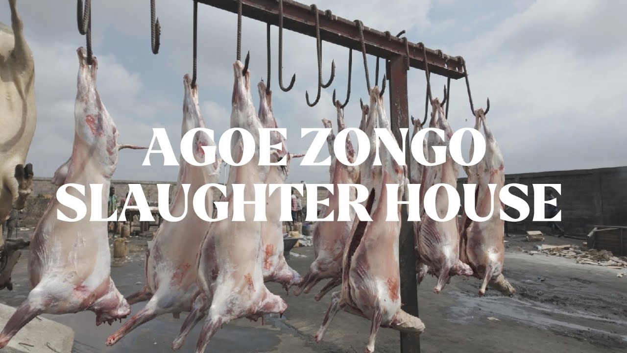 Lome Togo: Agoe Zongo slaughter house Tour a Lome - YouTube