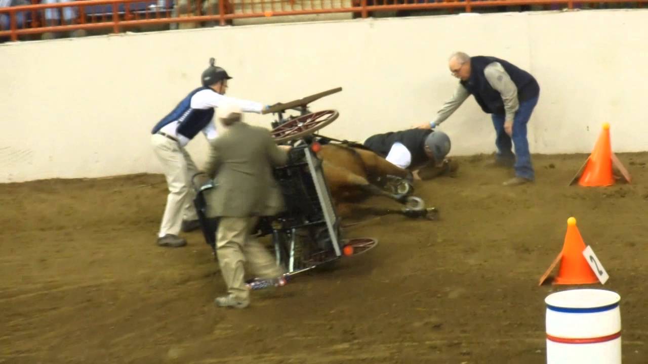 Farm Show 2016 -- Horse Cart Race - YouTube