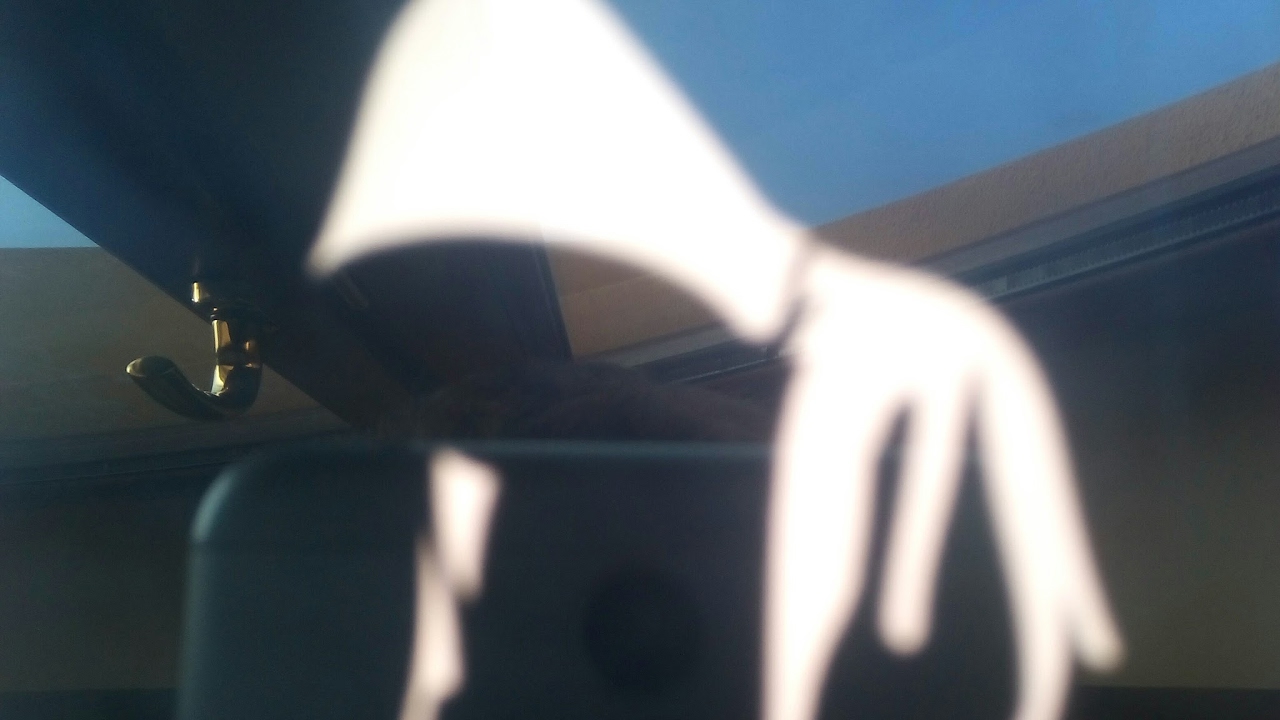 Siasp 99's broadcast - YouTube