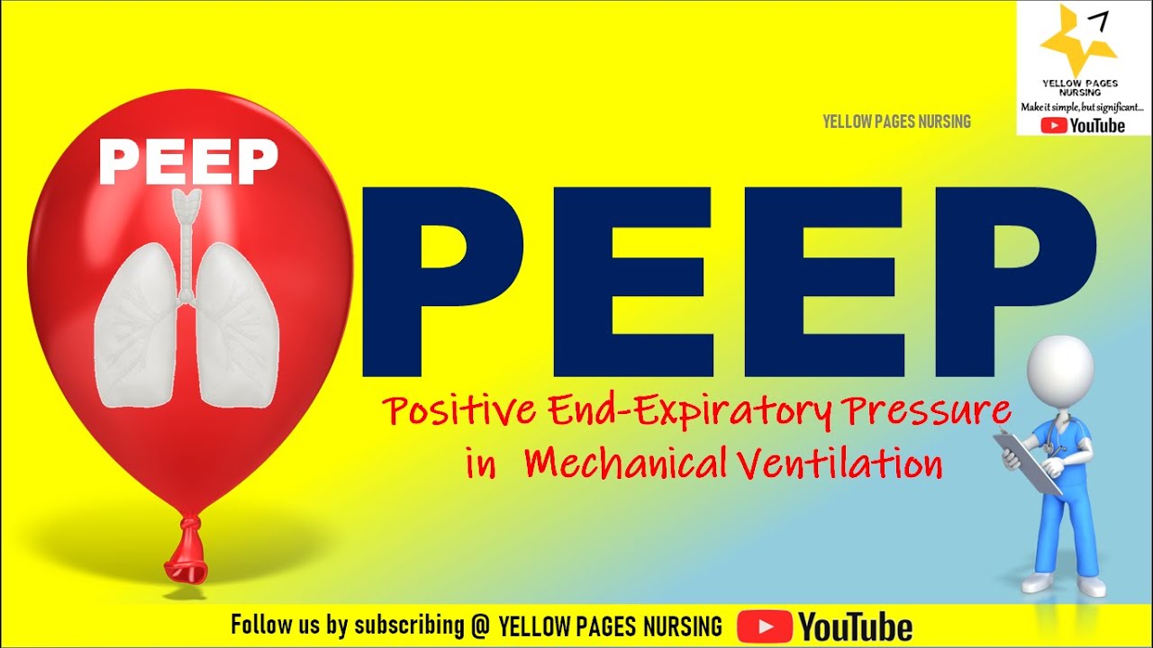 PEEP | Positive End-Expiratory Pressure in Mechanical Ventilation ...