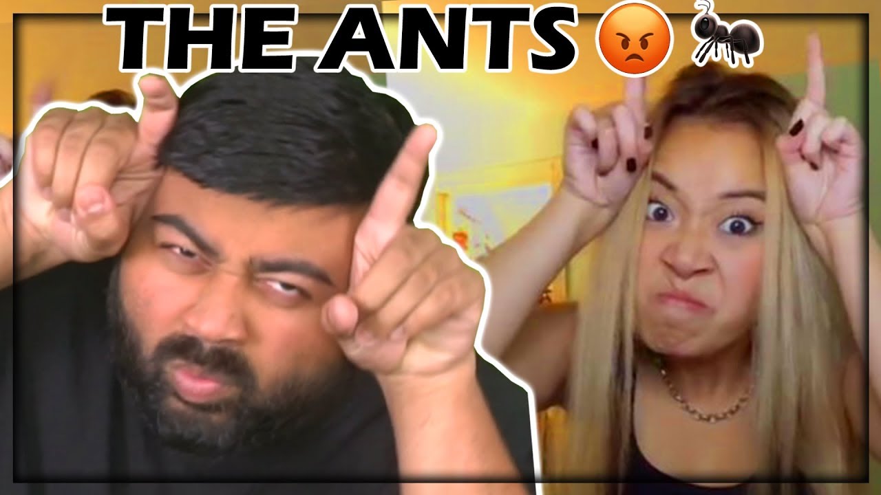 Why Are There Ants 😡🐜 All Over My TikTok? - YouTube