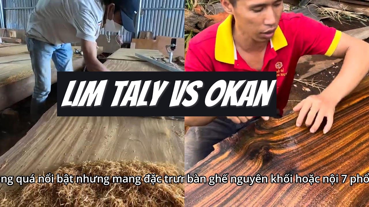 Lim Xanh Taly Và Lim OKan '' Đâu Là Sự Khác Biệt" Của 2 Dòng Lim Được ...