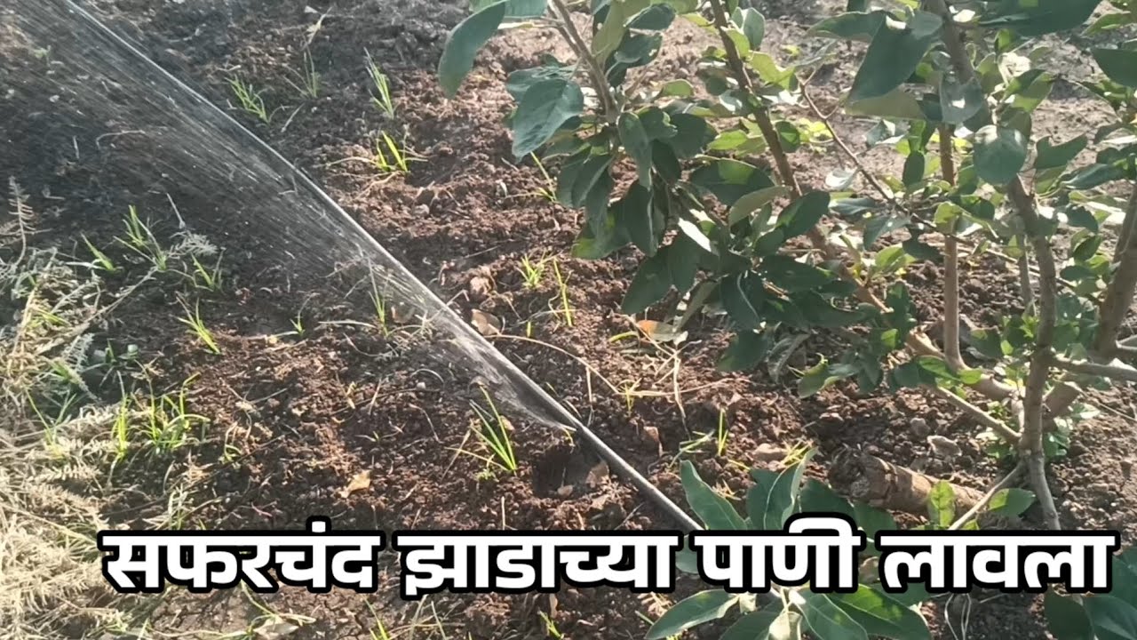 पानी चालु 🌳🍎safarchand#reel#viral - YouTube