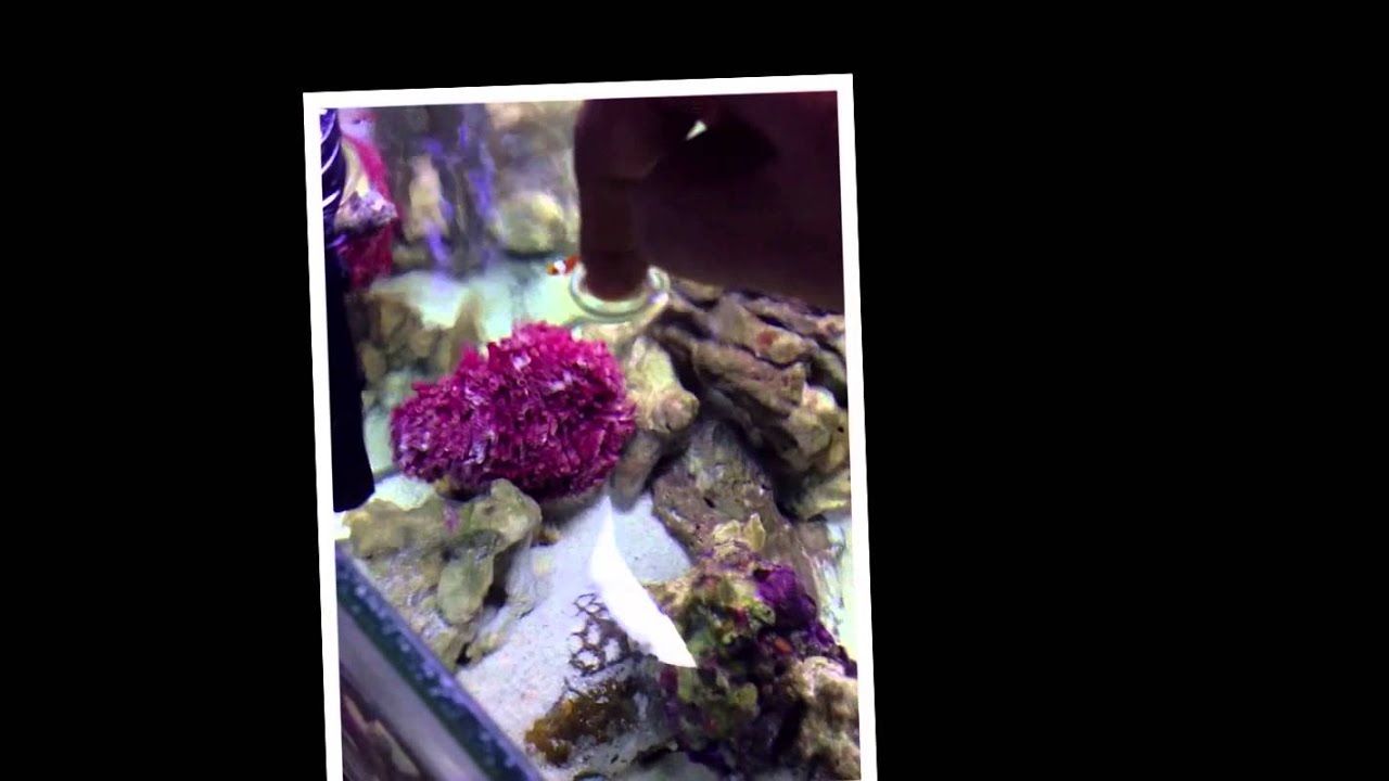 Knowsy - Krusty n Bozo "300" - YouTube