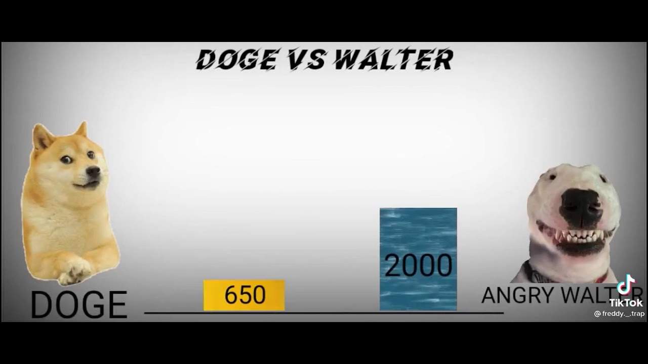 Doge vs Walter power levels - YouTube