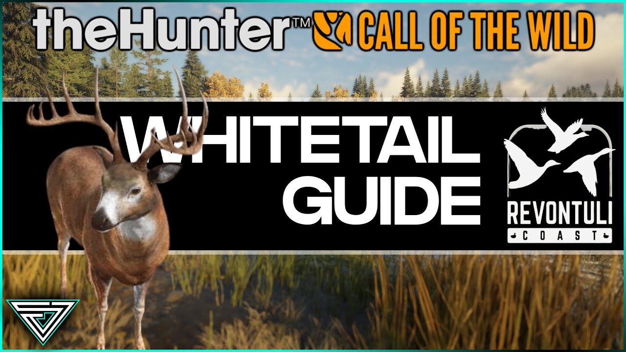 WHITETAIL GUIDE for Revontuli Coast!!! The Hunter: Call of the Wild ...