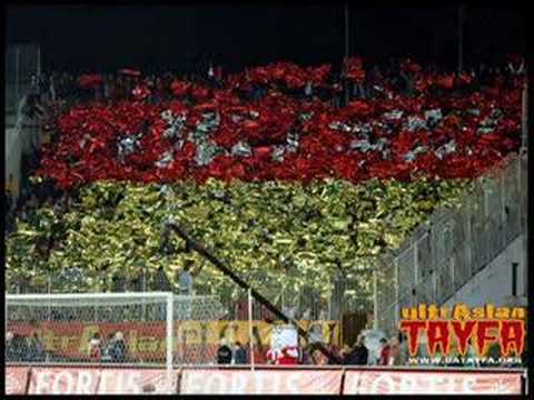 anti fener ölümüne by güney berat