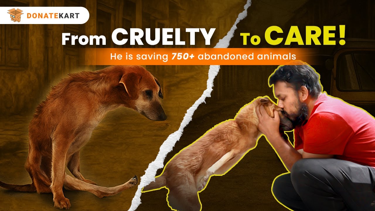Help ALAI Rescue care for 750+ abandoned animals. - YouTube