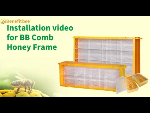How to install plastic comb honey frame - YouTube