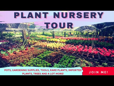 RG Plant Nursery Tour || Rona's Garden Tour || Rare Plant Supplier ...