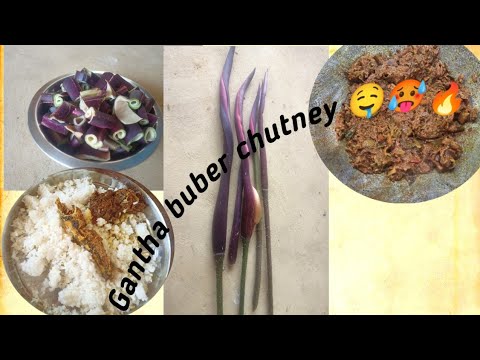 Gantha buber bi🍅chutney recipe spicy 🔥🥵 chutney #villagecooking # ...