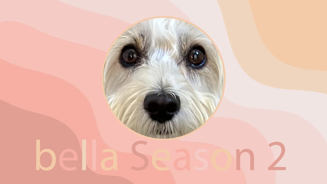 Bella Season 2 episode 1 - YouTube