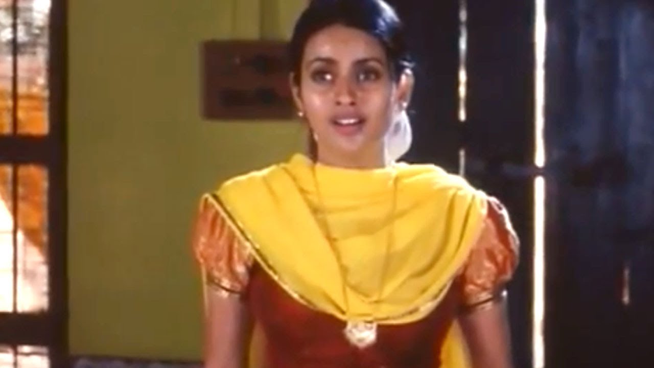 Pedababu Movie || Jagapati Babu & Kalyani Love Scene || Jagapati Babu ...