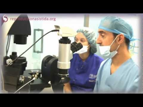 Seminograma