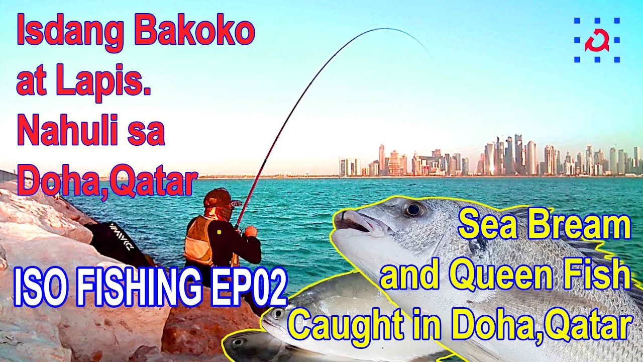 Isdang Bakoko at Lapis nahuli sa Doha, Qatar | Sea Bream | Queen Fish ...