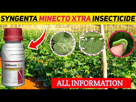 MINECTO XTRA INSECTICIDE | syngenta minecto xtra | insecticide - YouTube