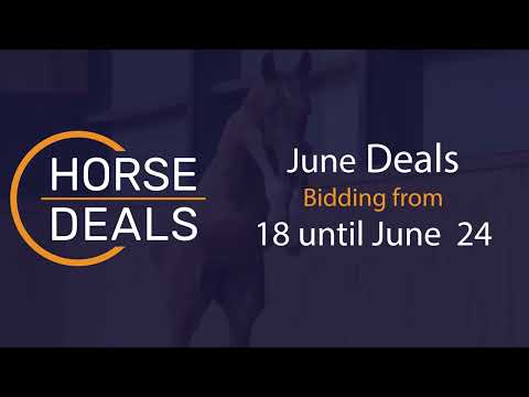 6 HorseDeals Princess Hera