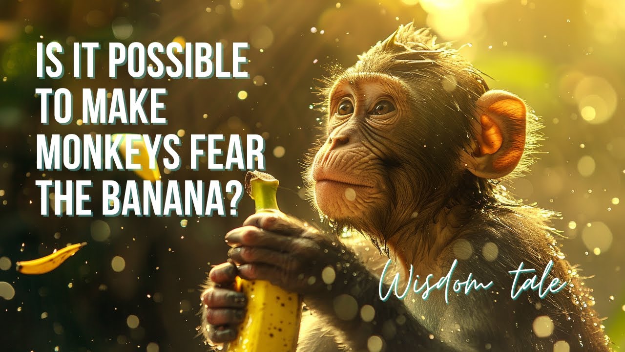 Can Monkeys Really Fear Bananas? - YouTube