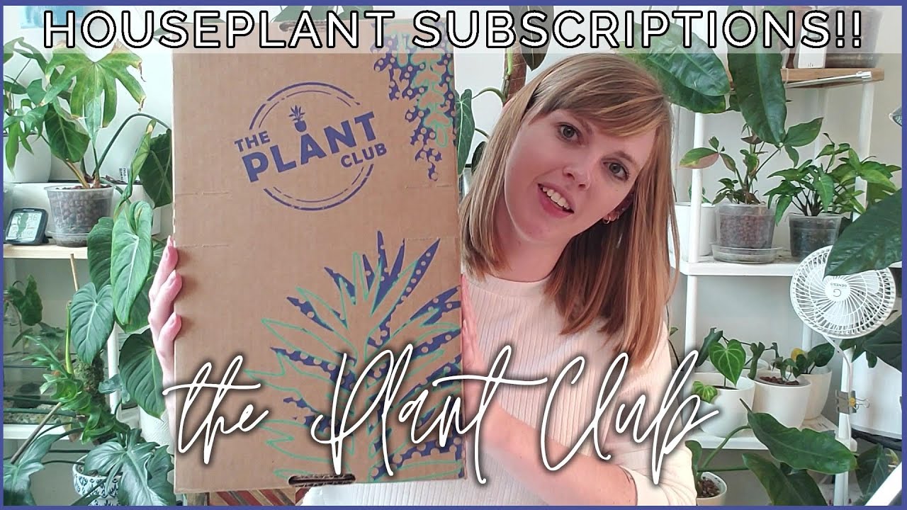 The BEST Houseplant Box | Plant Club REBRAND & UNBOXING | January 2021 ...