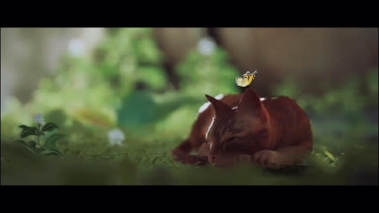 Stray - Ep. 1 | The Beginning - YouTube