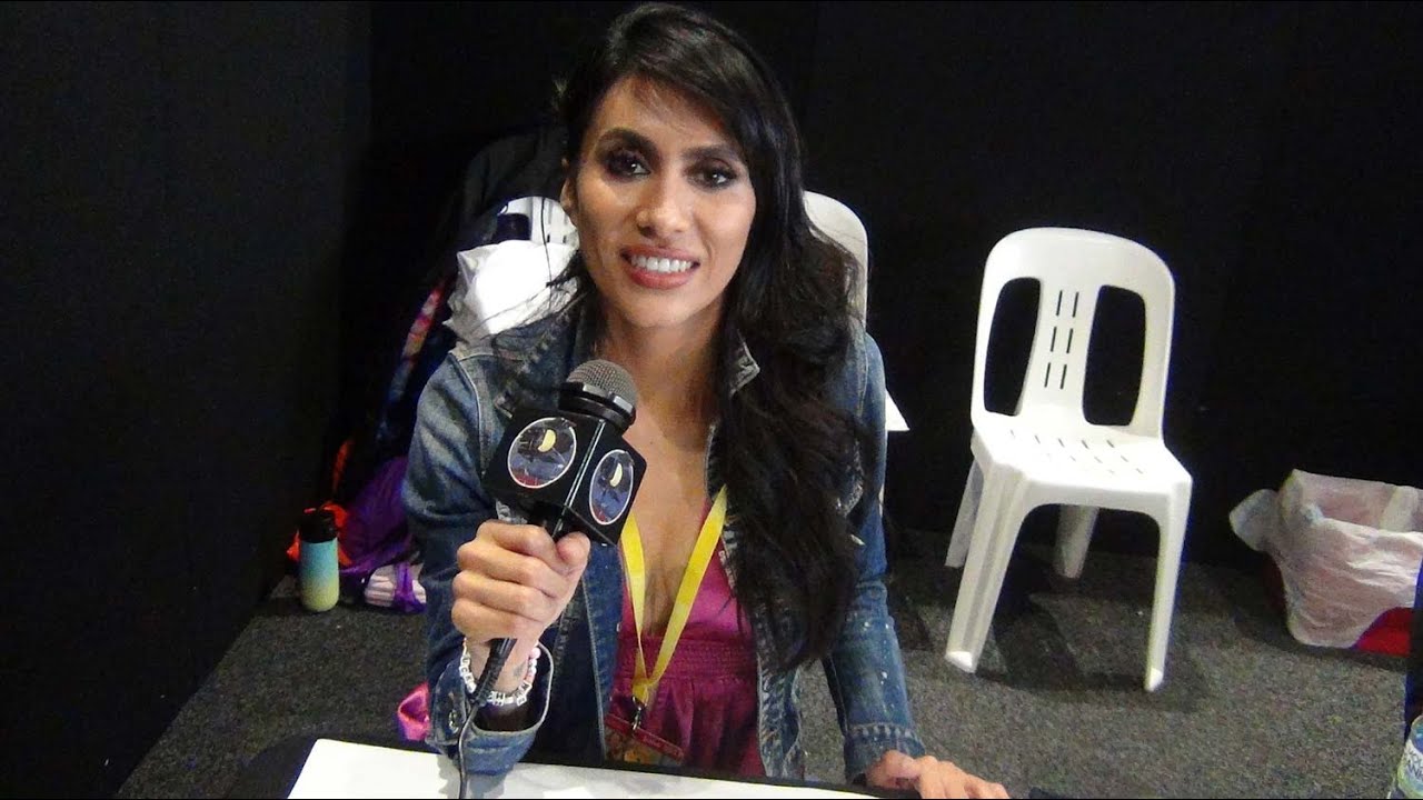 Interview: Cristina Vee Talks "Miraculous: Tales Of Ladybug & Cat Noir ...