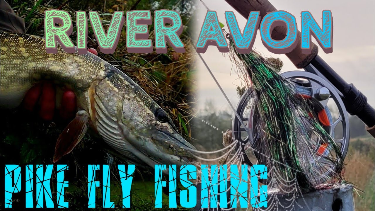 River Avon pikes / river pike fly fishing @MaxcatchFishing - YouTube