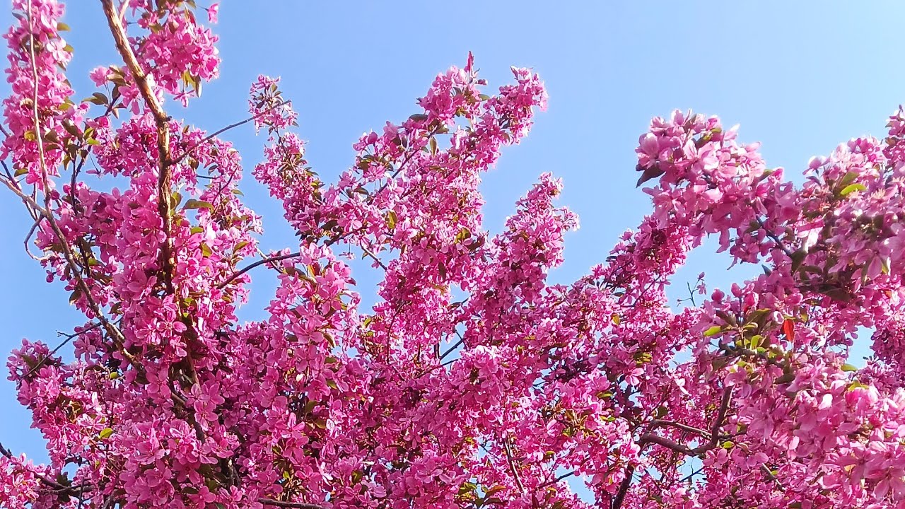 Mega lab shout out Kain - YouTube