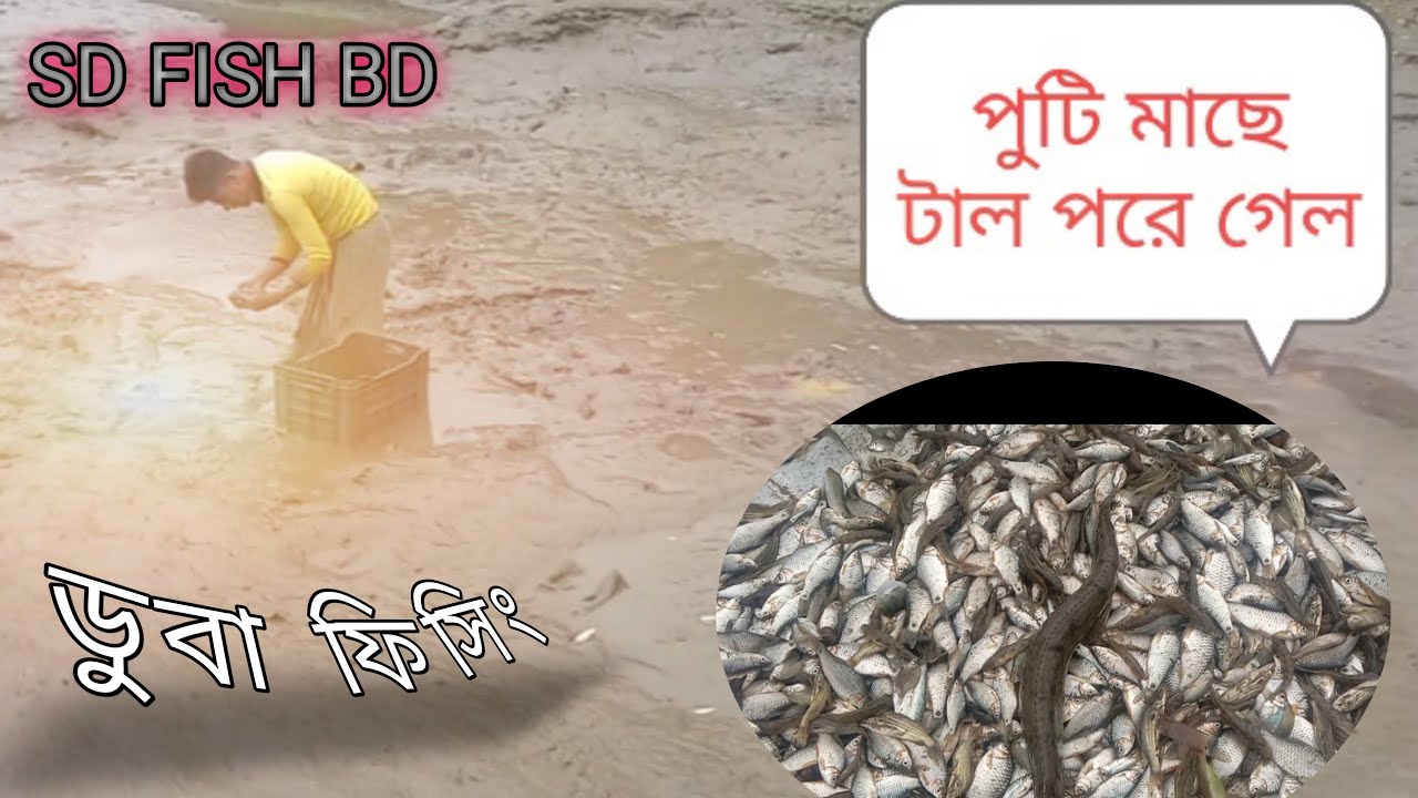 futi fishing পুটি মাছ - YouTube