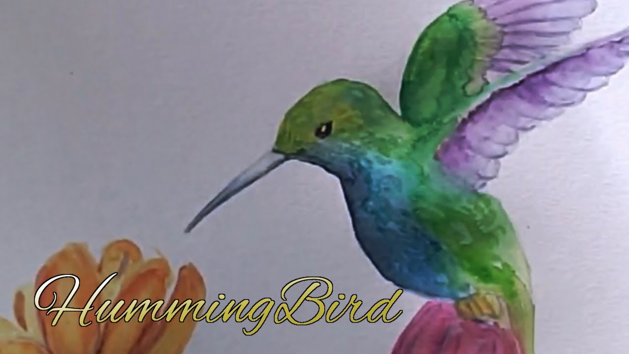 Hummingbird Process video (quick paint) - YouTube