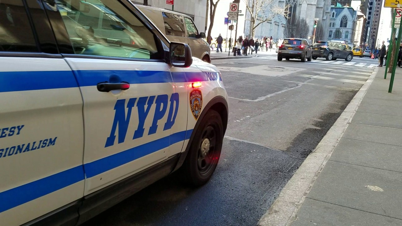 NYPD Special Operations Division Hercules Squad Doing Their Daily ...