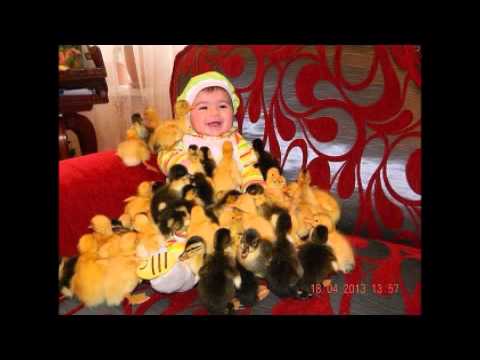 sevgi klipi qollarin ustunde ole bileydim