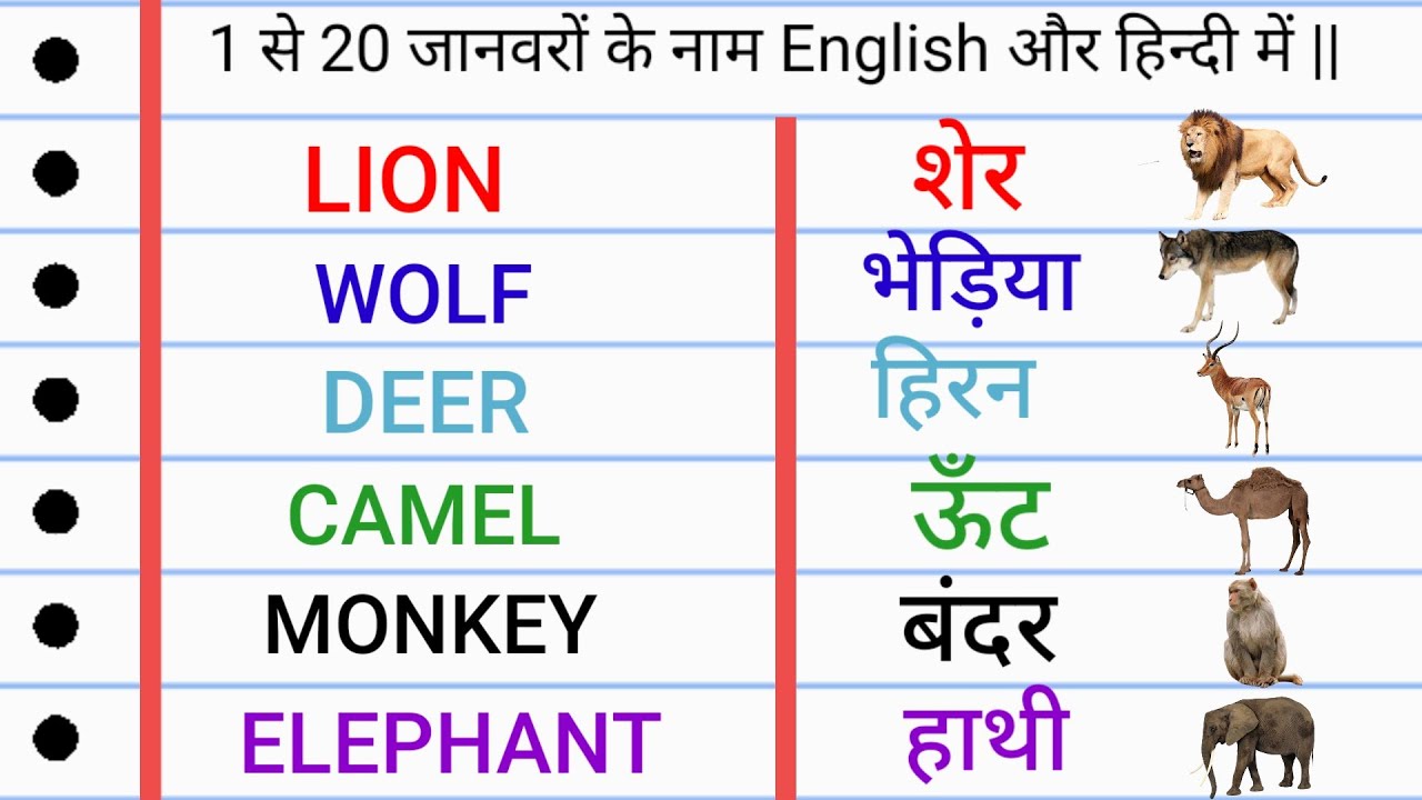 1 to 20 Wild Animals Name in Hindi & English | 1 से 20 जानवरों के नाम ...