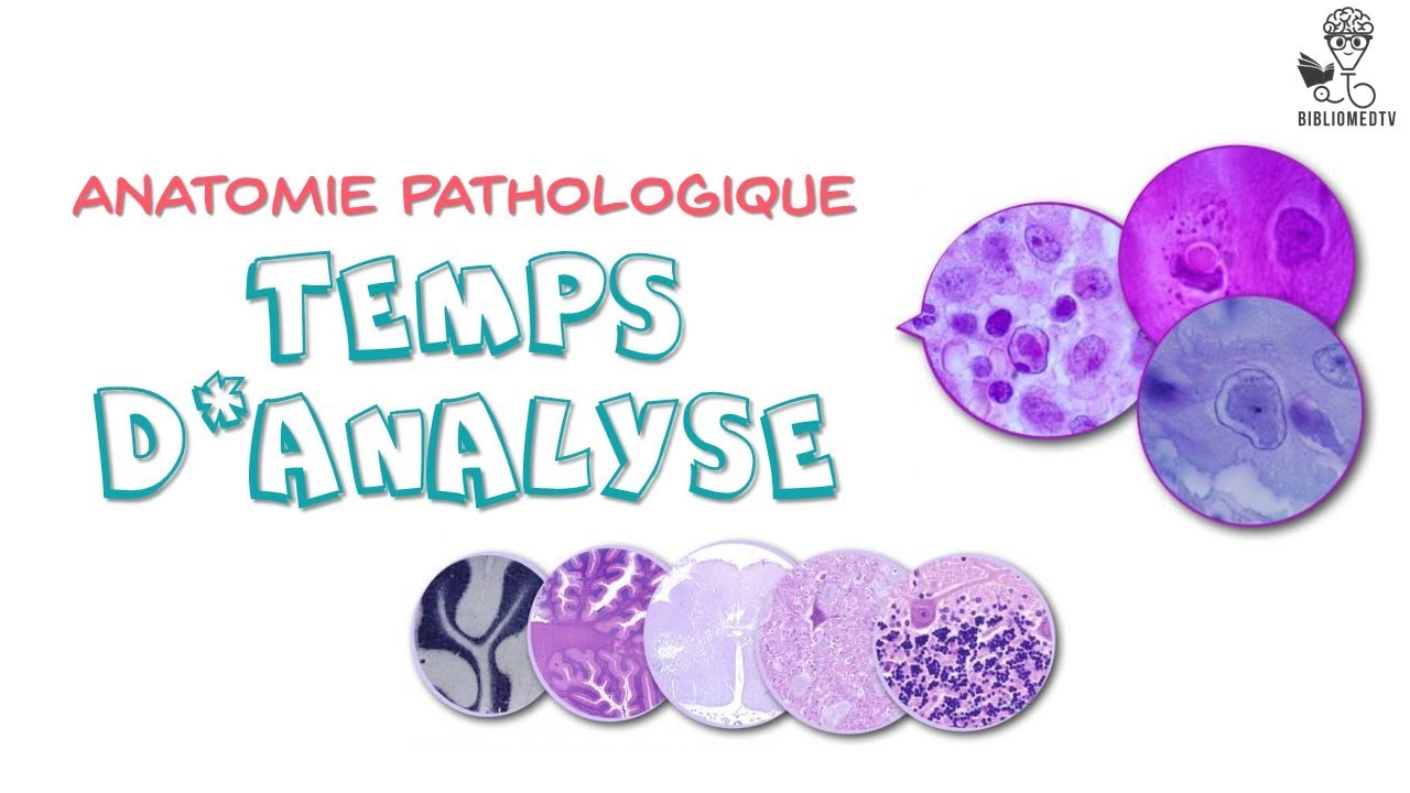 Anatomie Pathologique - Temps d'Analyse - YouTube