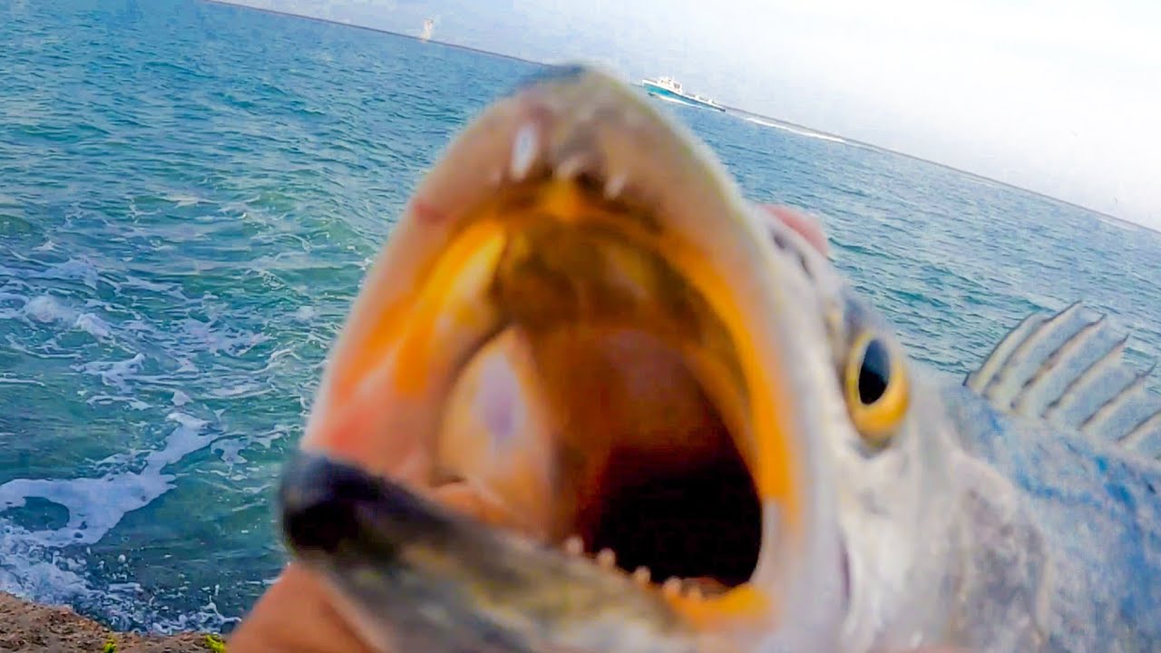 Jetty Fishing..Texas Coast Saltwater Fishing..Part 1 - YouTube