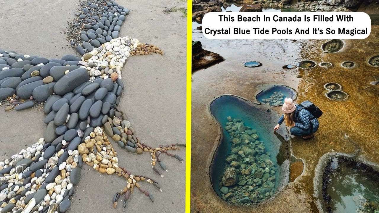 Times People Found Unexpected, Interesting, And Bizarre Things At The ...