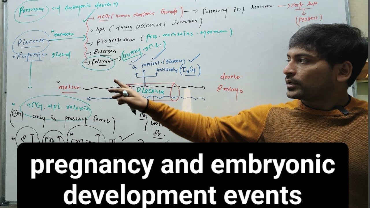 NCERT class 12th {pregnancy and embryonic development ]- for all exams ...