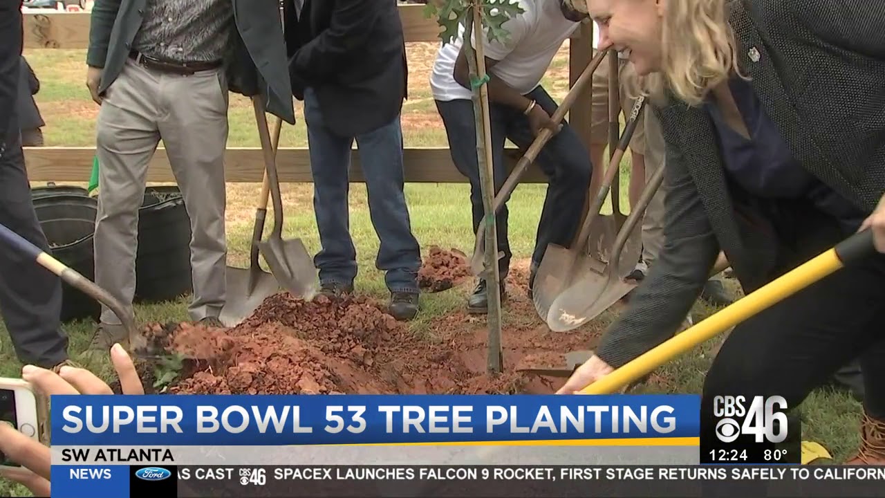 Super Bowl committee plants trees across Atlanta - YouTube