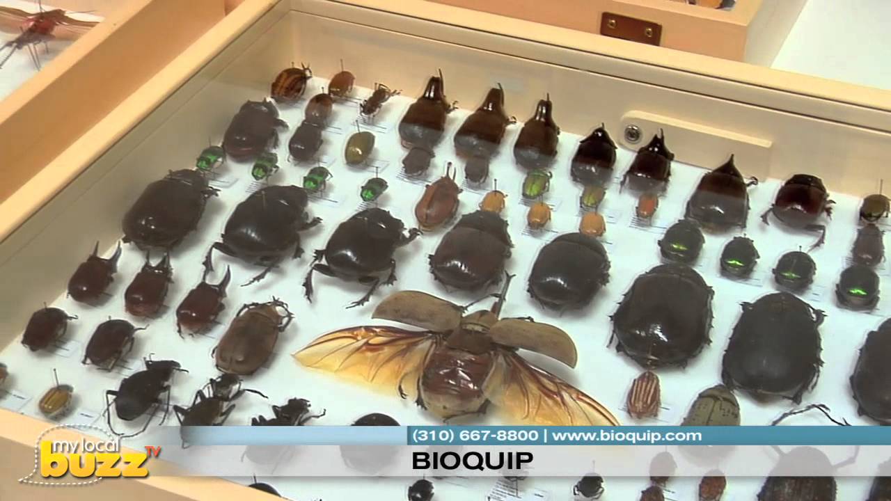 BioQuip Overview-Entomology Equipment - YouTube