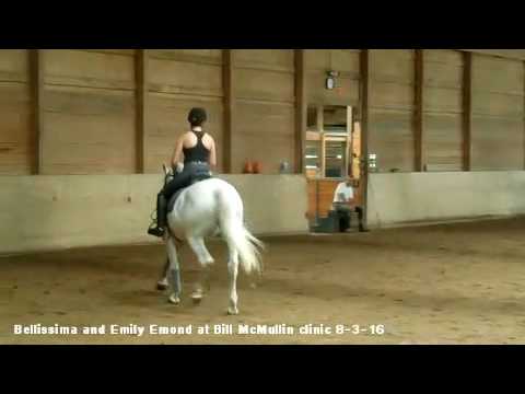 Bellissima and Emily Emond at Bill McMullin Clinic 8 3 16 - YouTube