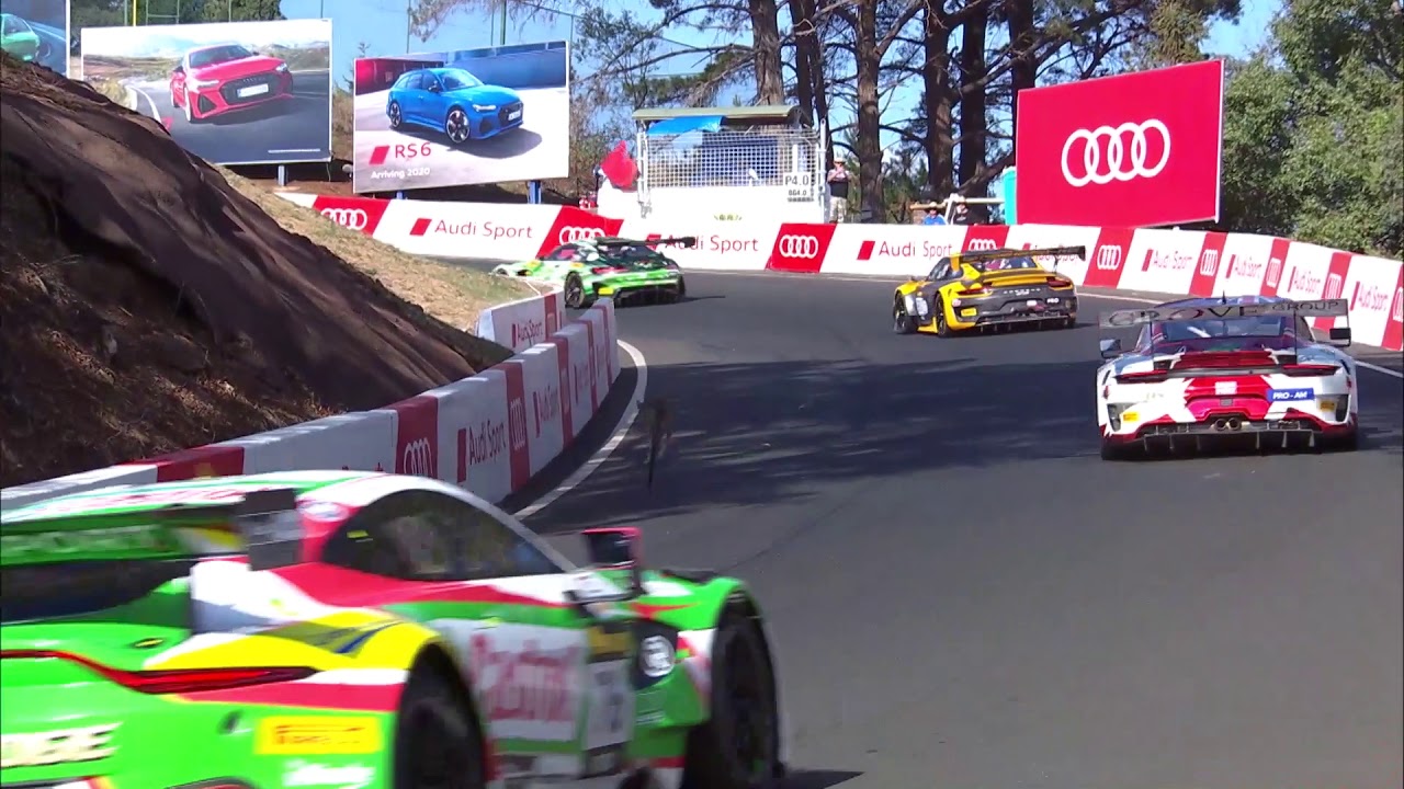 Bathurst 12 Hour qualifying crashes and practice kangaroo interruption ...