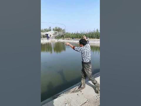 Net Making Fishing Net How To Make Your Own Fishing Net 21 - YouTube