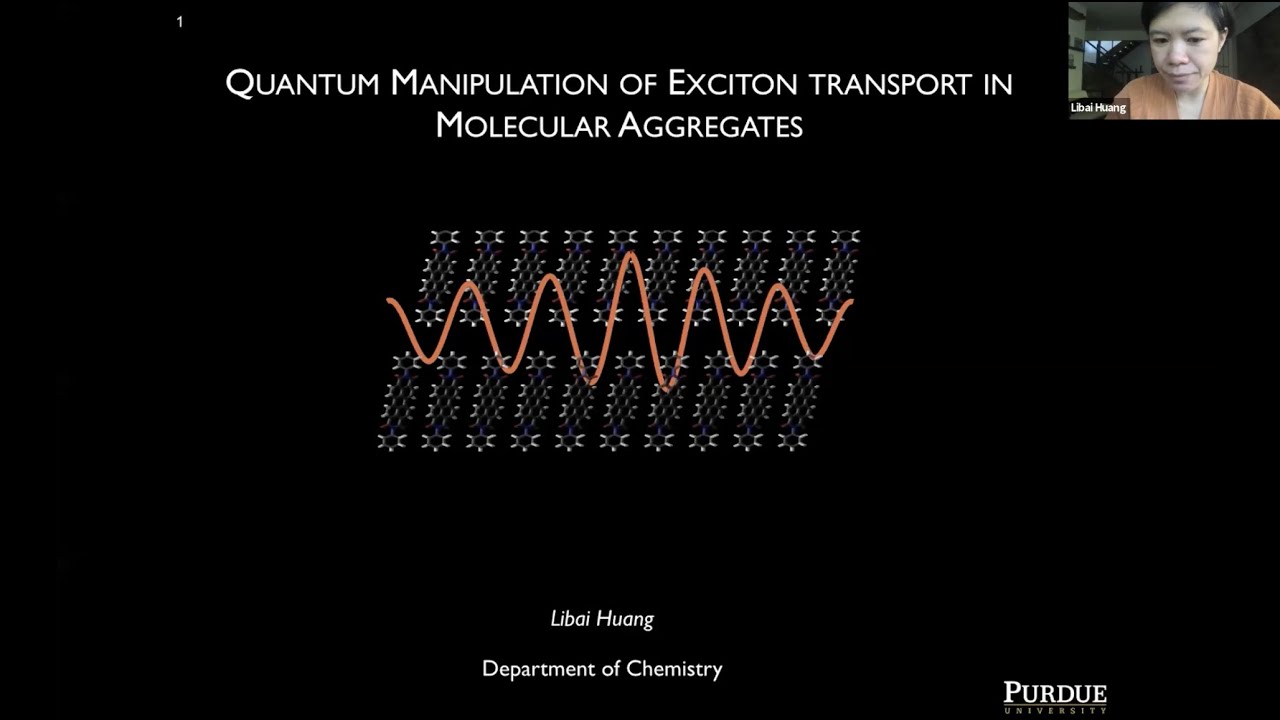 Quantum Manipulation of Exciton Transport in Molecular Aggregates ...