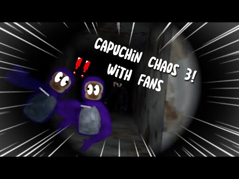 Capuchin chaos 3! (With fans) - YouTube