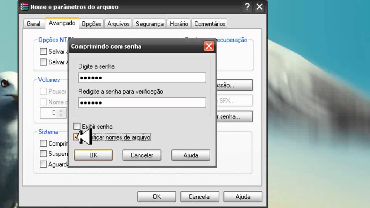 Como Colocar Senha em Pasta Zipada - YouTube