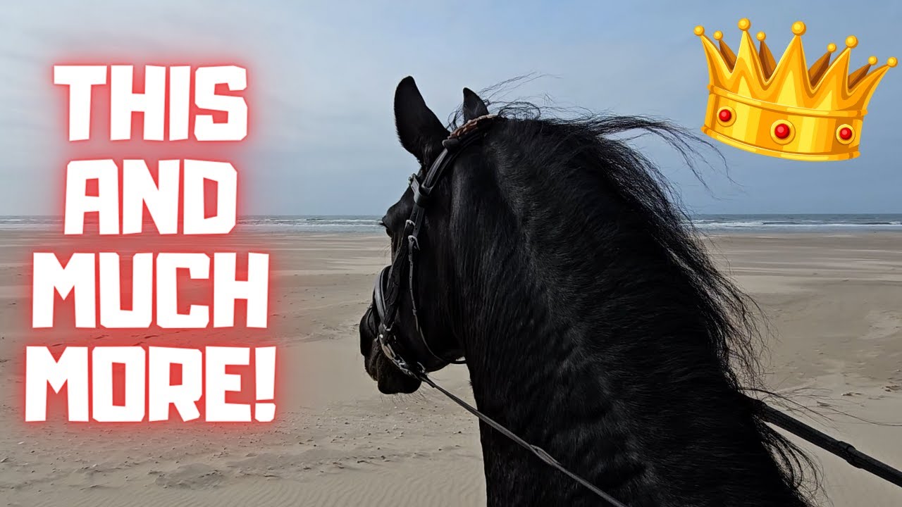 Queen👑Uniek returns to Stal G | Beach, forest and dunes. With bloopers ...