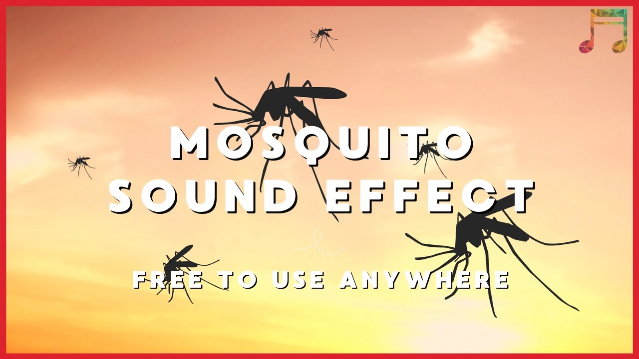 Mosquito Sound Effect - No Copyright, FREE Sound Effects, Royalty Free ...